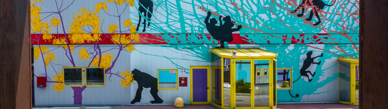 ACS Dobfar | Contact